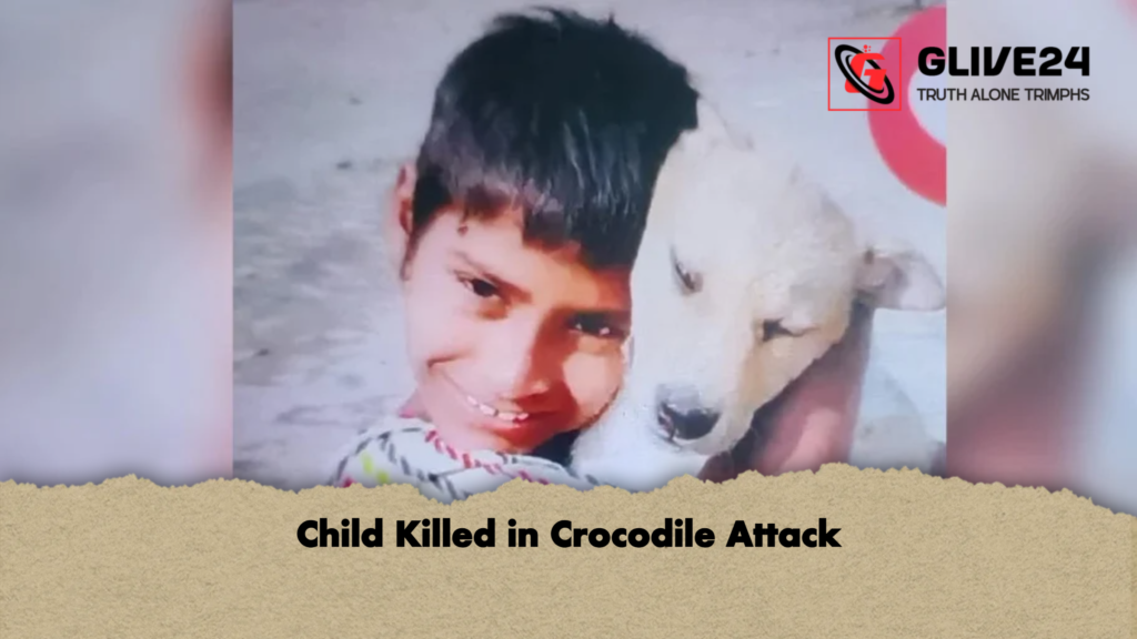 Child Killed In Crocodile Attack - GLive24.com | Truth Alone Triumphs